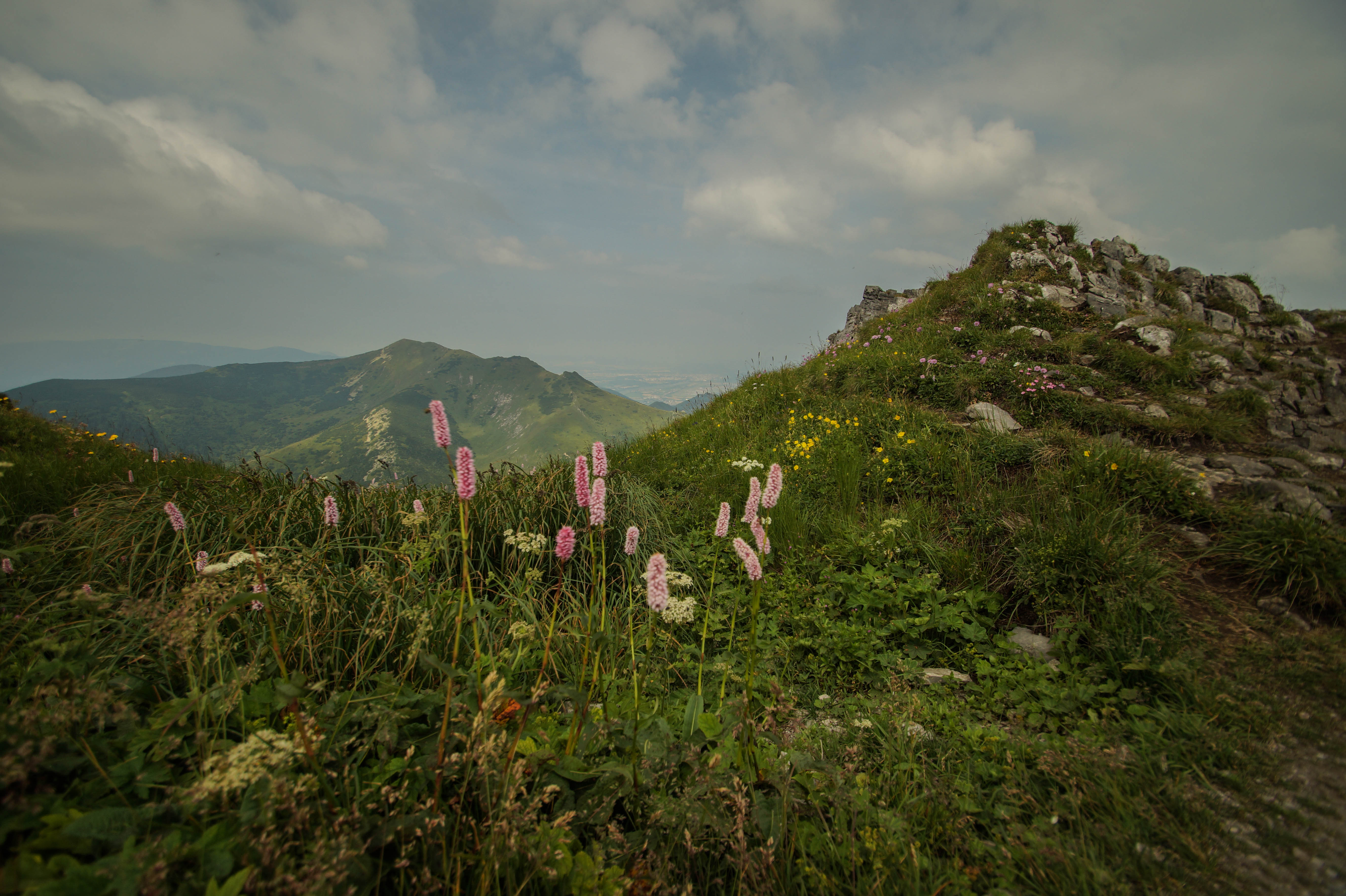 Vratna Dolina | Shutterbug